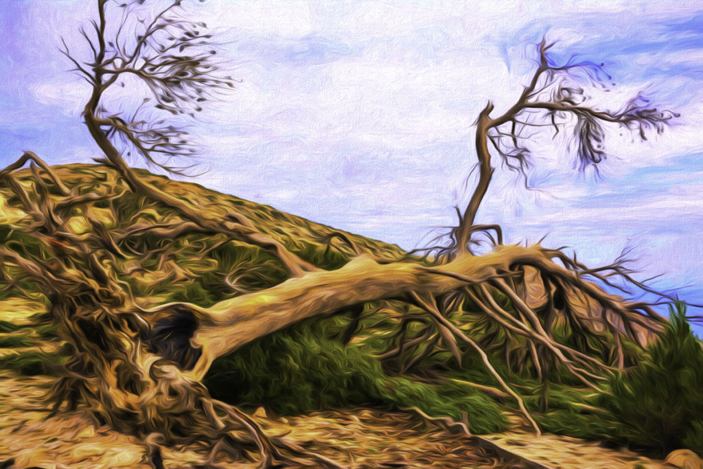 Running for Macha - Championing the Goddess, the Earth and Lady ...