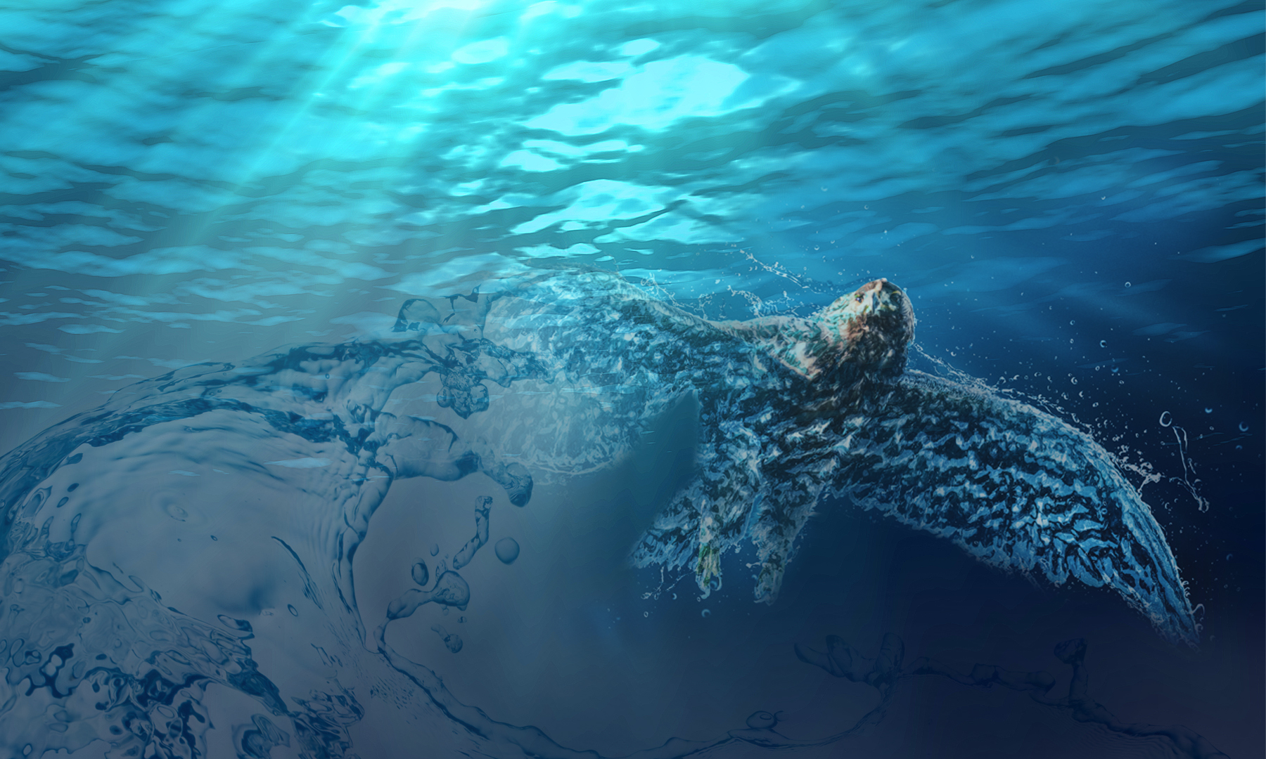 Shamanism Without Borders Archives - Society for Shamanic Practice